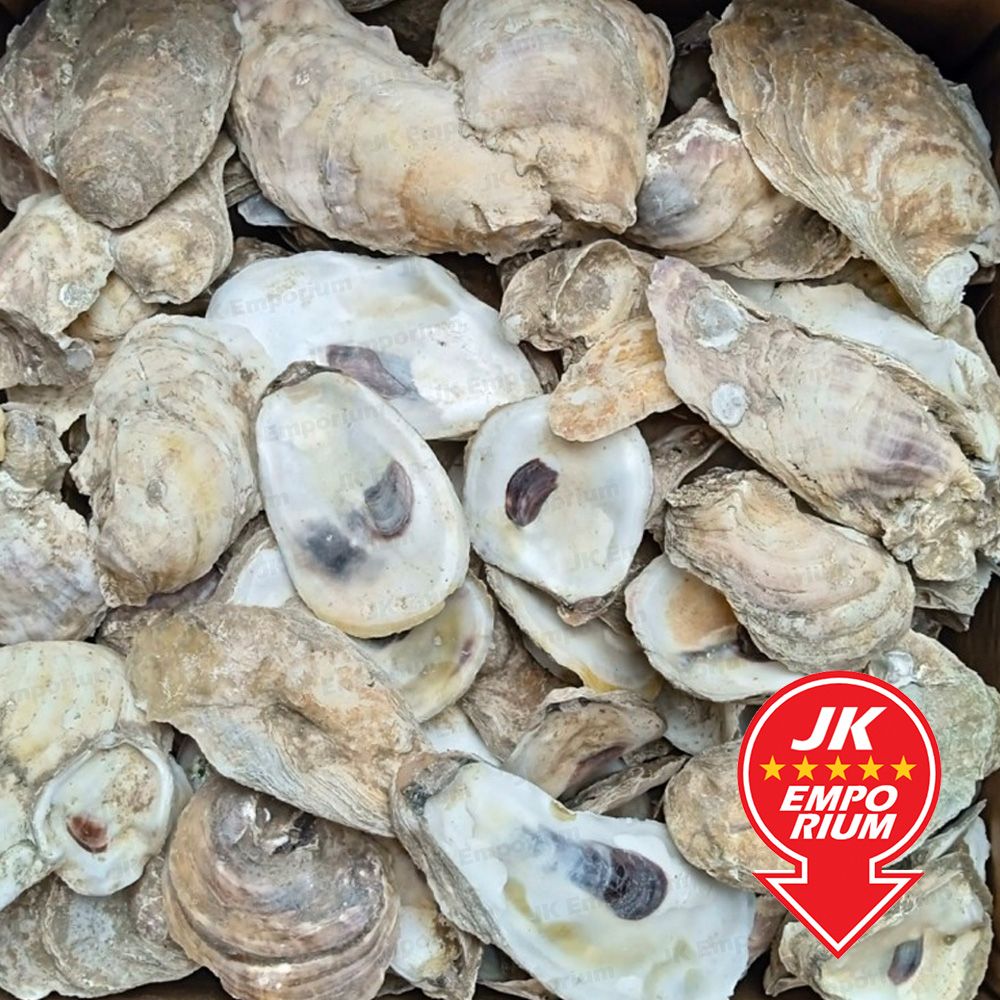 1kg Natural Oyster Shell pH Up Buffer Aquarium Fish Tank Pond Filter ...
