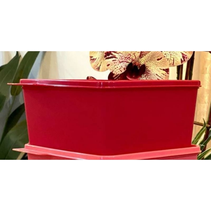 Tupperware Snack N Stack 2.5L / 5L / 5.0L / Cozy Nest Tupperware ...