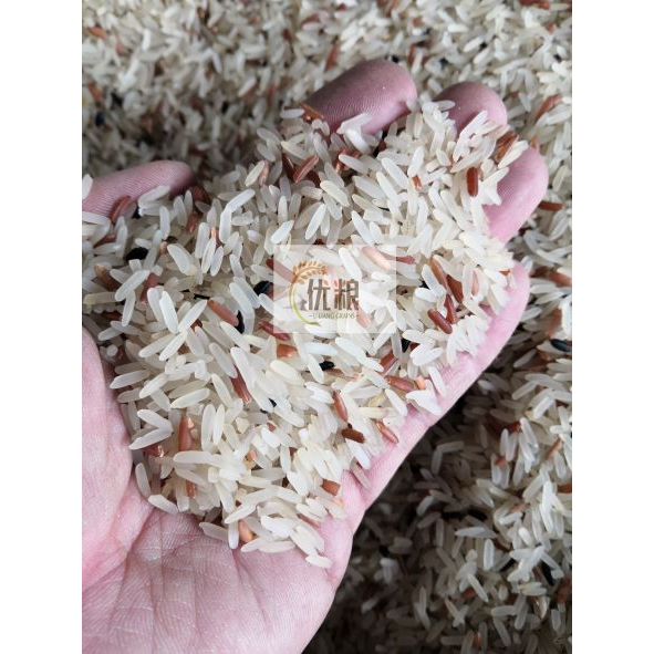 《𝗟𝗢𝗪 𝗚𝗜》2.8kg Low GI Rice with Black Rice Red Rice Suitable for ...