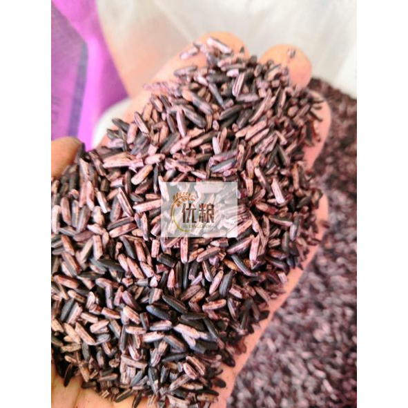 《𝗣𝘂𝗿𝗽𝗹𝗲》900g Premium Purple Glutinous Rice 紫米 紫 糯米 Wholesale Available ...