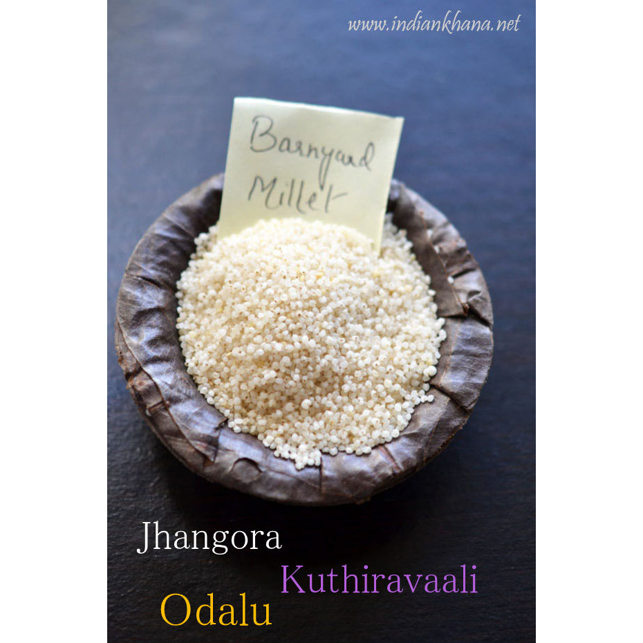 Indian Barnyard Millet seed Kuthiraivali arisi (Echinochloa esculenta ...