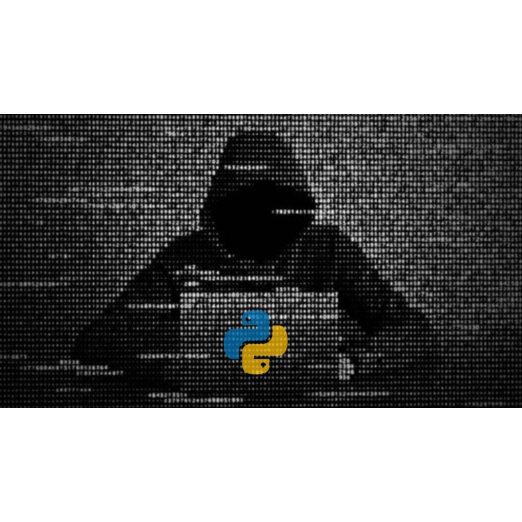[Course] Python Ethical Hacking MASTERCLASS: Zero to Mastery | Shopee Malaysia