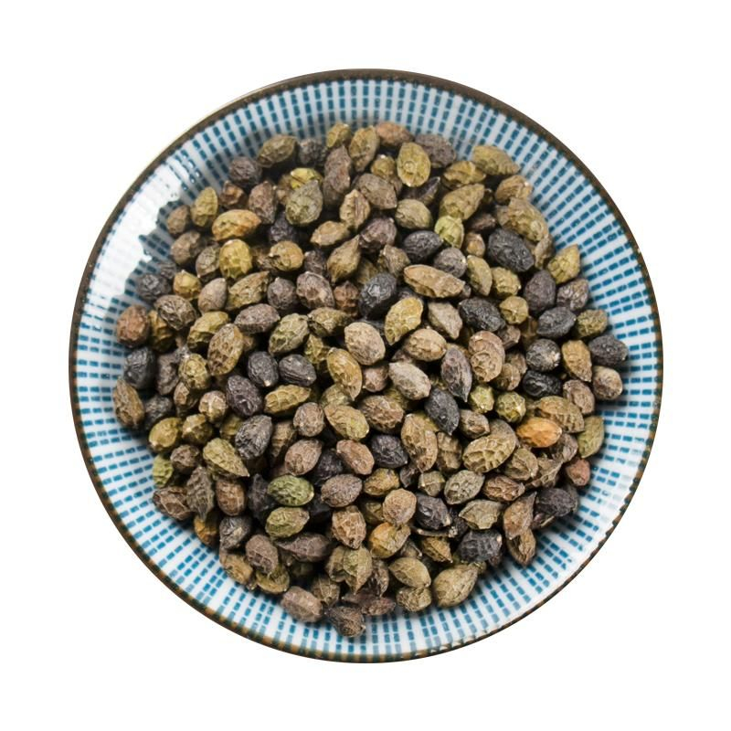 serbuk / Biji Lada Pahit kering Melada Pahit (Java Brucea) mempahit Ya ...