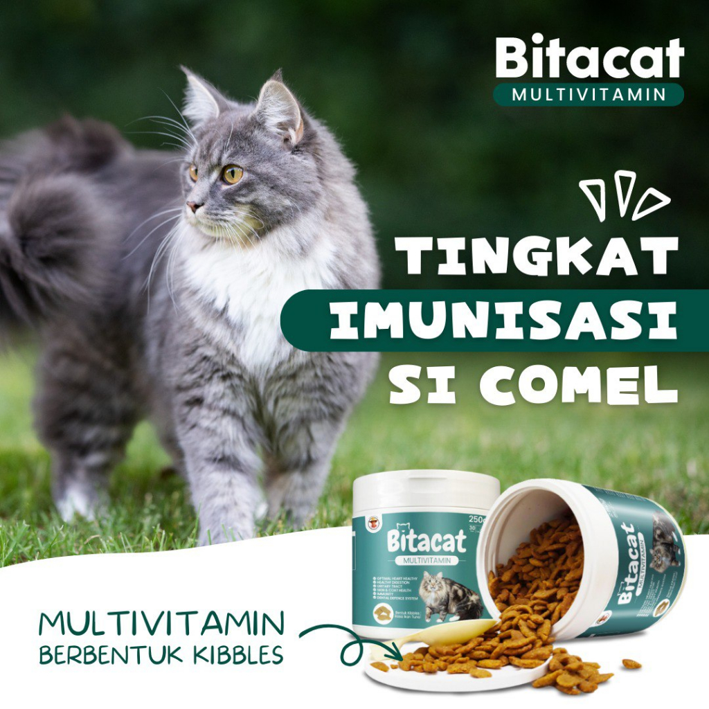 [PAKMANSORFARM] BITACAT VITAMIN KUCING GEMUK KIBBLES UPHAVIT READY ...