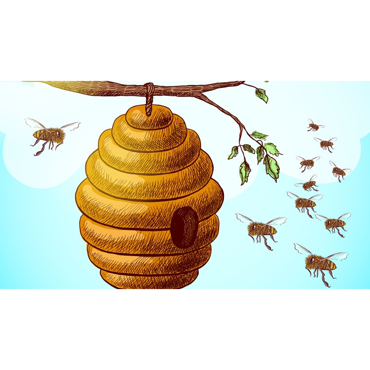 [Course] MATLAB Basics & Artificial bee colony Optimization Algorithm ...