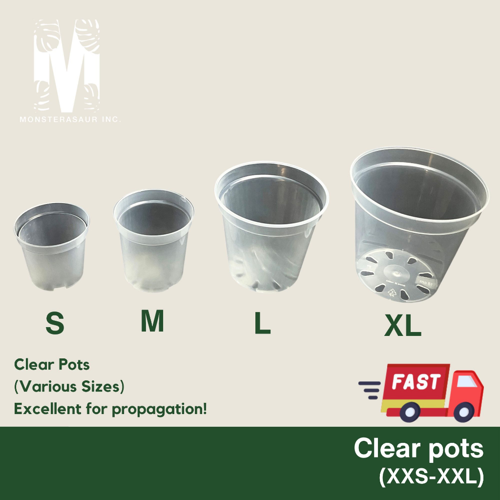 Pasu Lut Sinar Clear Pots Transparent POT Pasu lutsinar pasu philo pasu ...