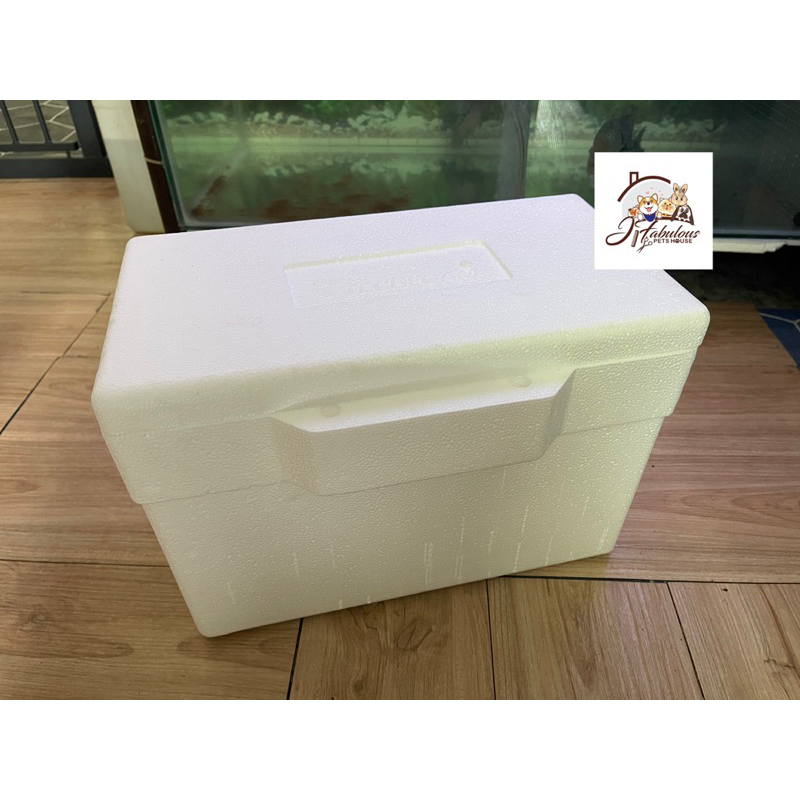 ICE BOX / STAR BOX / FOAM / COOLER BOX / Polyfoam Box / Frozen Storage ...