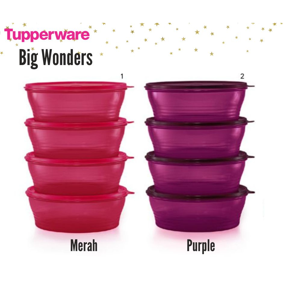Tupperware Gift Set Food Container 1.4L Big Wonders Set Food Container ...