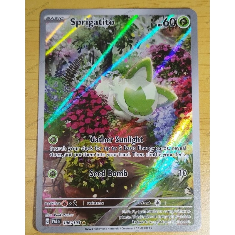 PTCG Sprigatito - 196/193 - Illustration Rare (READY STOCK) | Shopee ...
