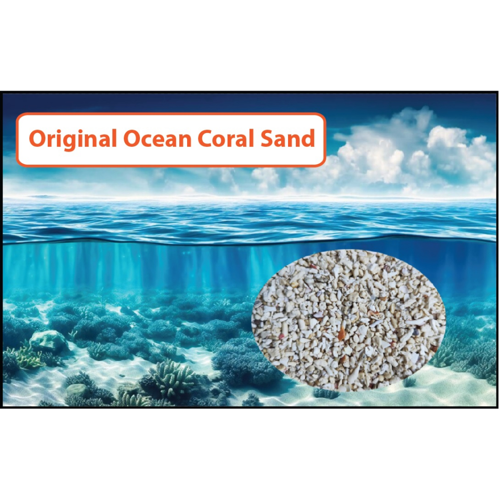 Decoration Coral Stone / Aquarium Coral Sand Filter Media 3-5mm ...