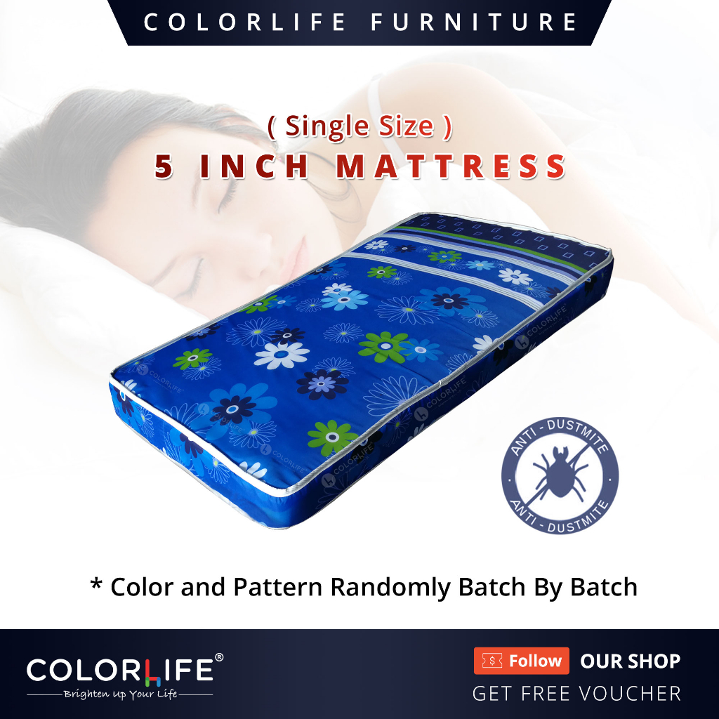 Color Life 4 & 5 inches Reborn Foam Mattress/Single Size Available ...