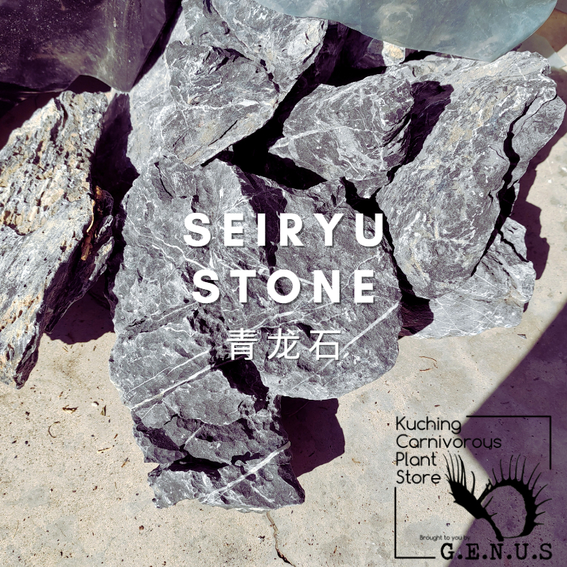 Seiryu Stone 青龙石 Seiryu Rock 酸洗 acid washed 造景石 aquascape (aquarium ...