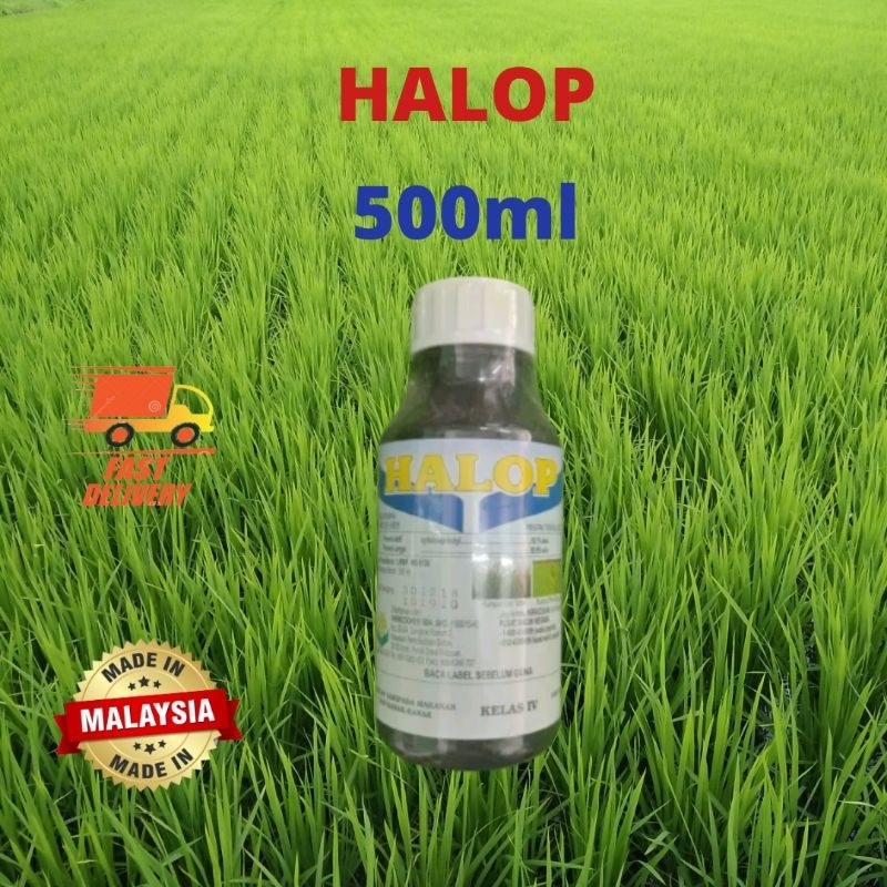 HALOP 500ml Sama Dengan Clincher Rumpaitek Racun Rumput Padi Burung ...