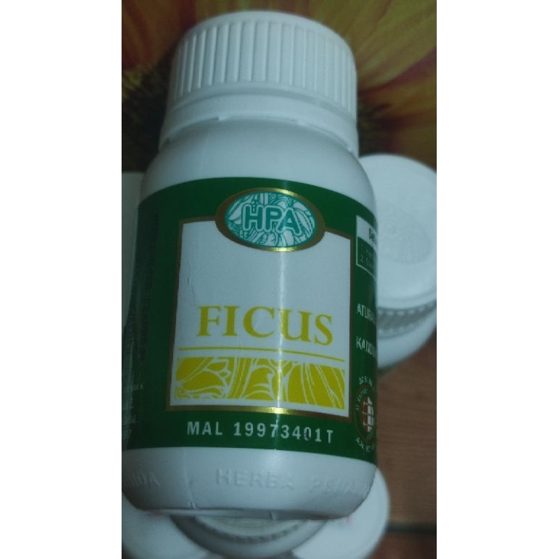 ficus/buasir 75 kapsul | Shopee Malaysia