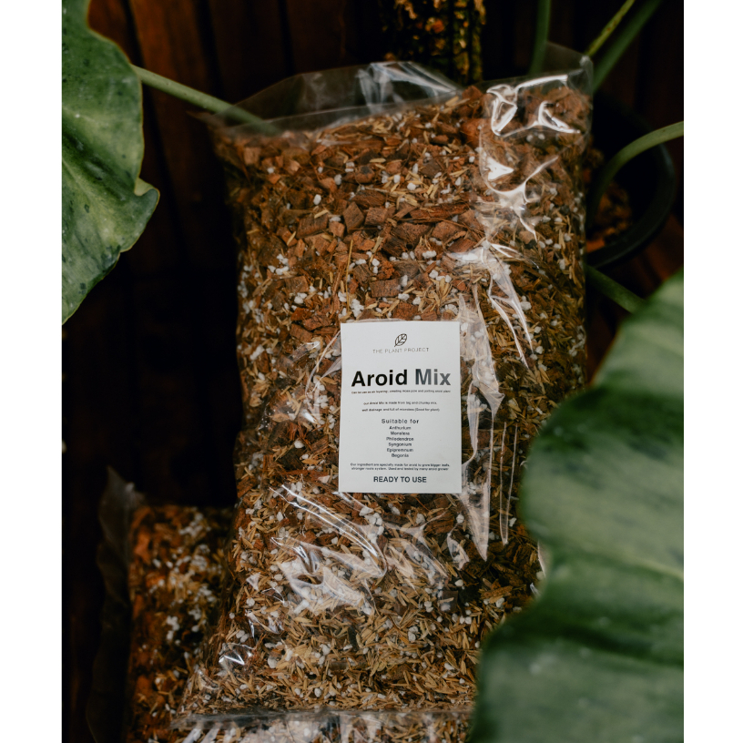 AROID MIX 10L Special formulated Aroid Soil Mix | The Plant Project ...