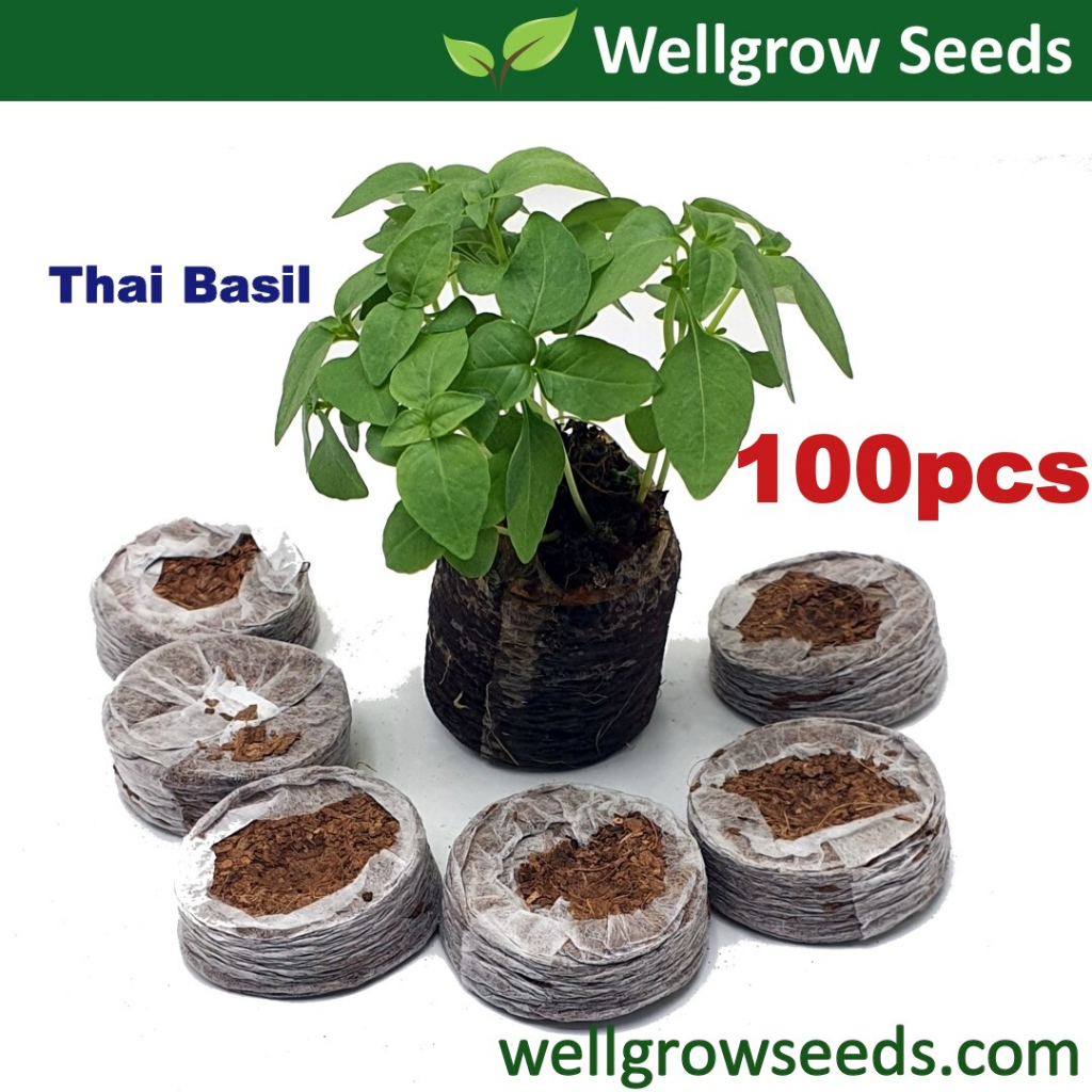 Jiffy Peat Pellets 32mm 42mm 60mm (100pcs) 育苗块 Peat Disc Compact ...