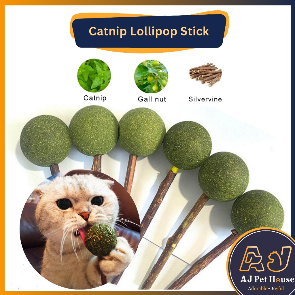 AJPET Catnip Lollipop Stick Cat Mint Teeth Molar Cleaning Cat Chew ...
