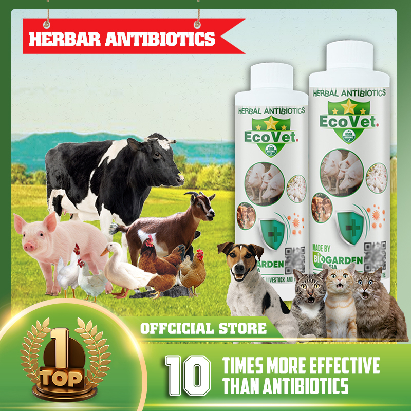 Ecovet - Probiotic Supplement Powder, Essential Nutrients for Livestock ...