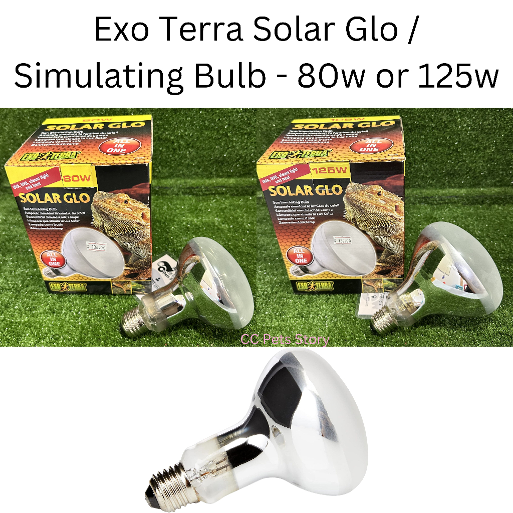 CC Pets Story Ready Stock | Exo Terra Solar Glo Sun Simulating Bulb - 80w / 125w. UVA UVB in 1 ...