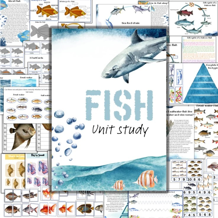 PDF] Fish Unit Study 98 pages Preschool Busy Quiet Book Kids Activity ...