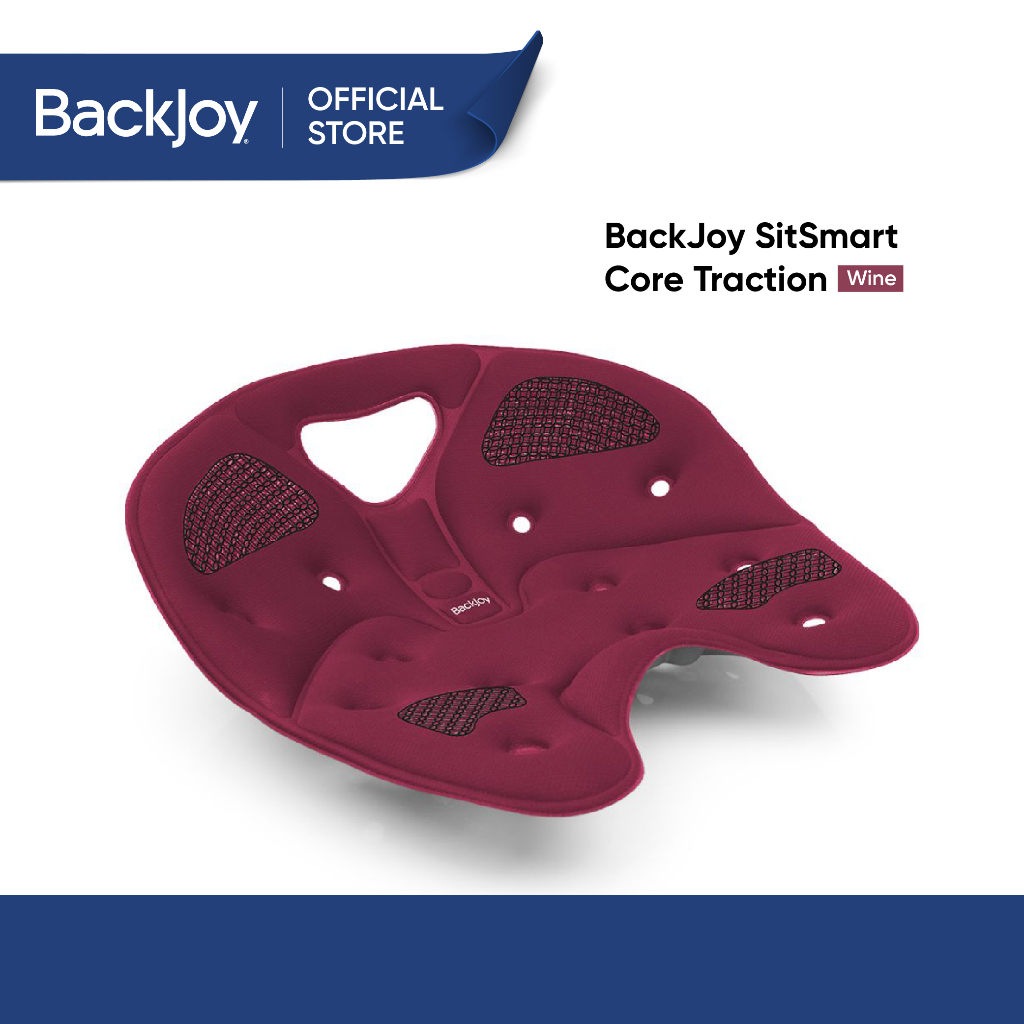 BACKJOY SitSmart Core Traction Posture Seat Support Waist Back Pain Relief for Home Office Car ...