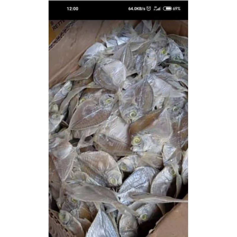 ikan asin dodok 1 kg | Shopee Malaysia