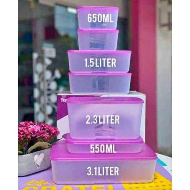 FREEZERMATE TUPPERWARE BRANDS FM SET/ BEKAS PETI AIS/ BEKAS PEMBEKU ...
