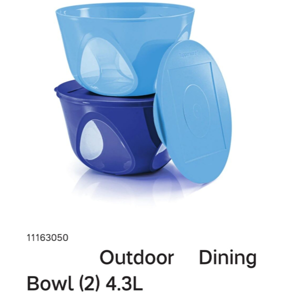 Tupperware Outdoor Dining Bowl 4.3L (2PCS) | Shopee Malaysia