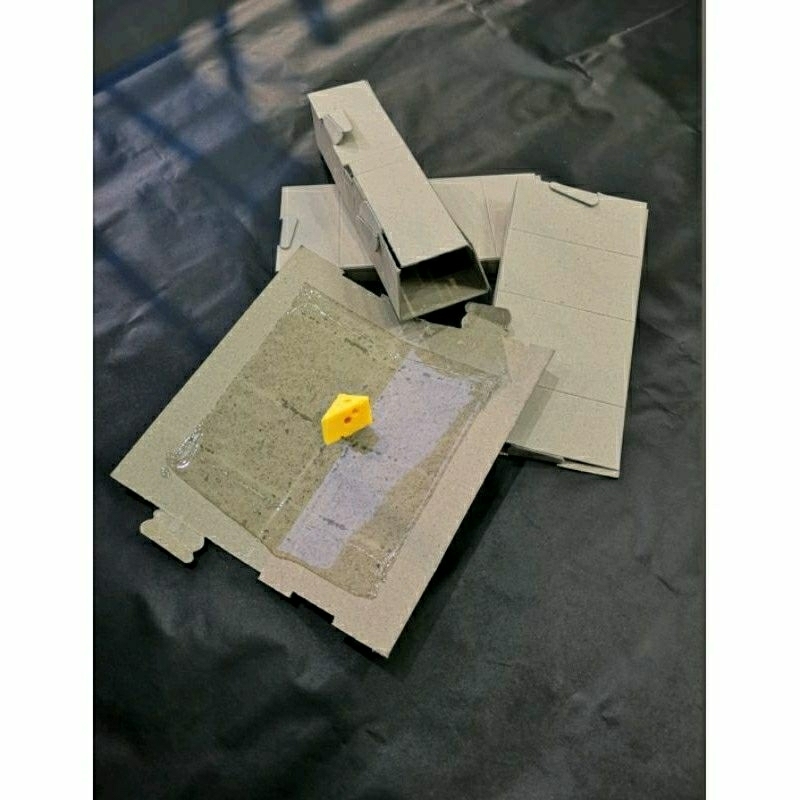 Perangkap GAM Tikus 💯 Berkesan Rats Trap With Free Bait 💯 Effective ...
