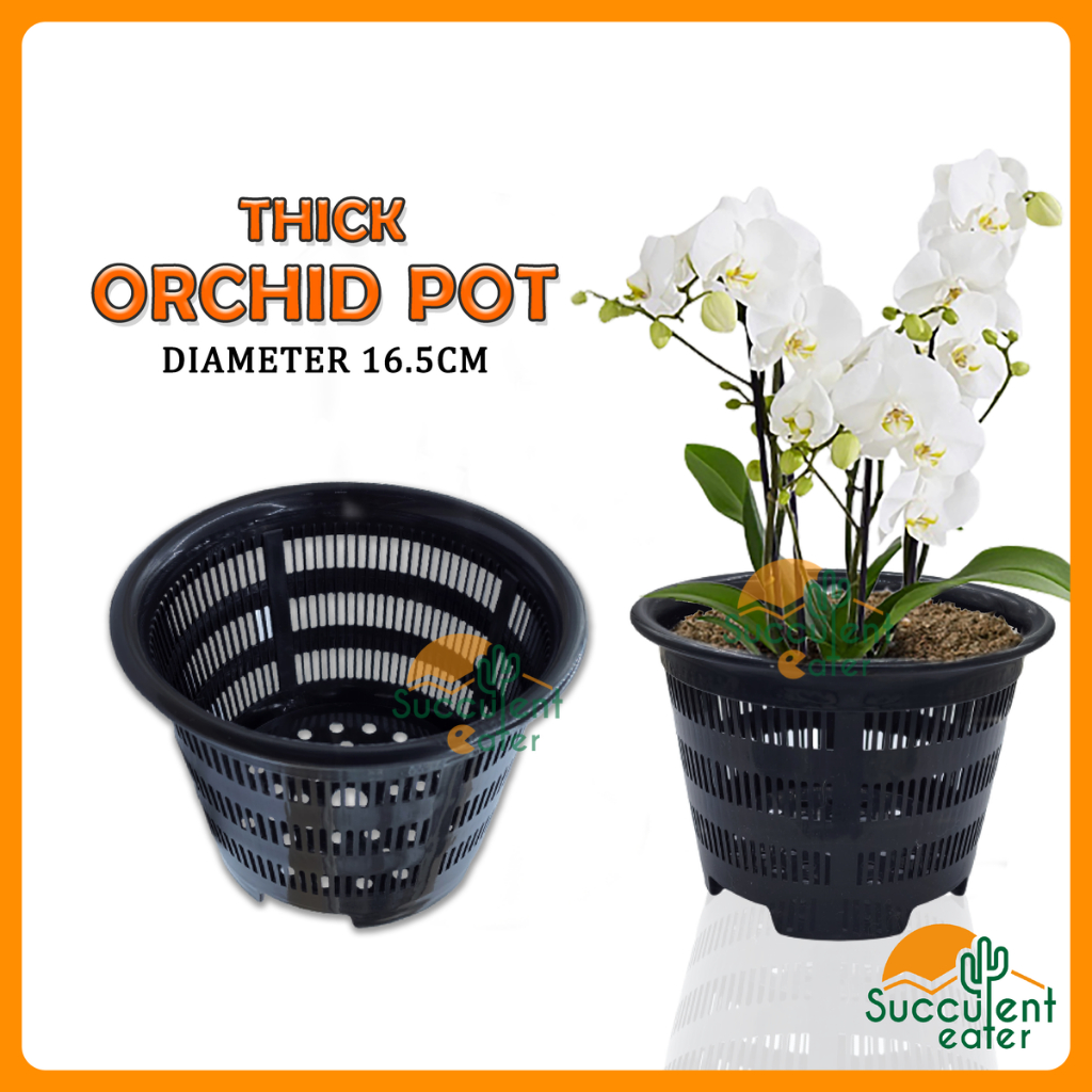 Thick Orchid Plastic Flower Pot Pasu Bunga Okid Gafri 蝴蝶兰花盆 | Shopee ...