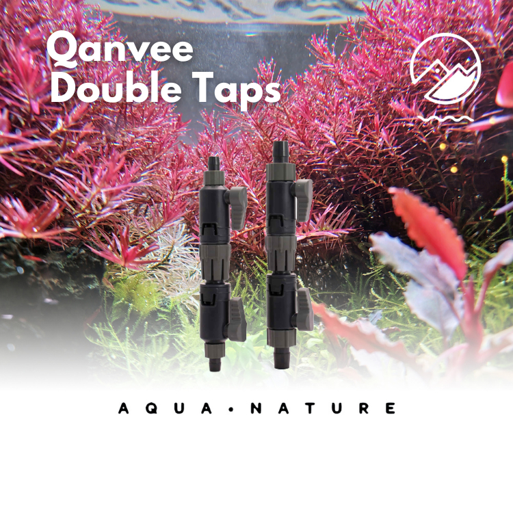 Qanvee Double Tap (Quick Release Connector Valve) | Shopee Malaysia