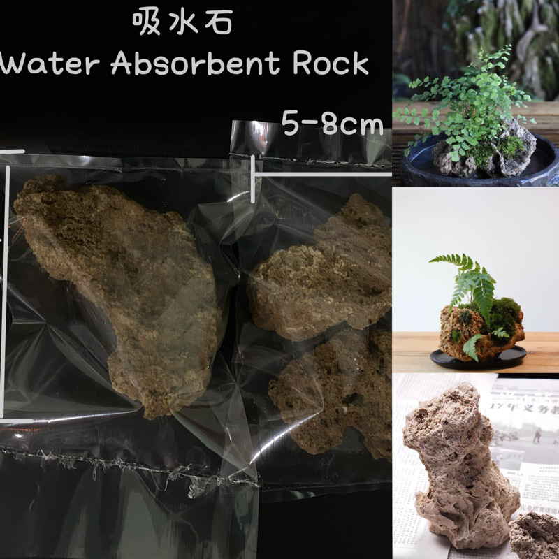 Water Absorbent Rock/Bonsai Stone/ Bonsai Rock盆景石 盆景 吸水石 上水石 假山 ...