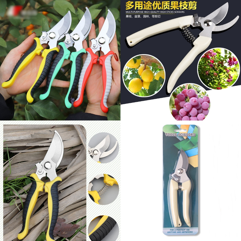 Garden Scissor Hand tool Stainless Steel Flower And Grass Trimming ...