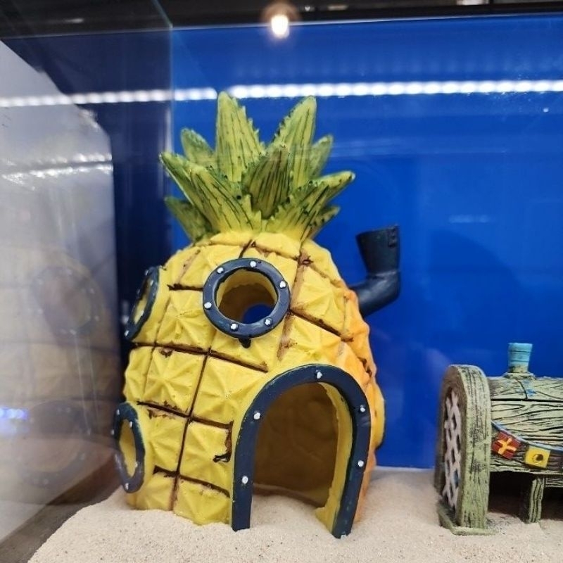 SpongeBob Aquarium Fish Tank Decor - Patrick, Squidward, Krabs, Sandy ...