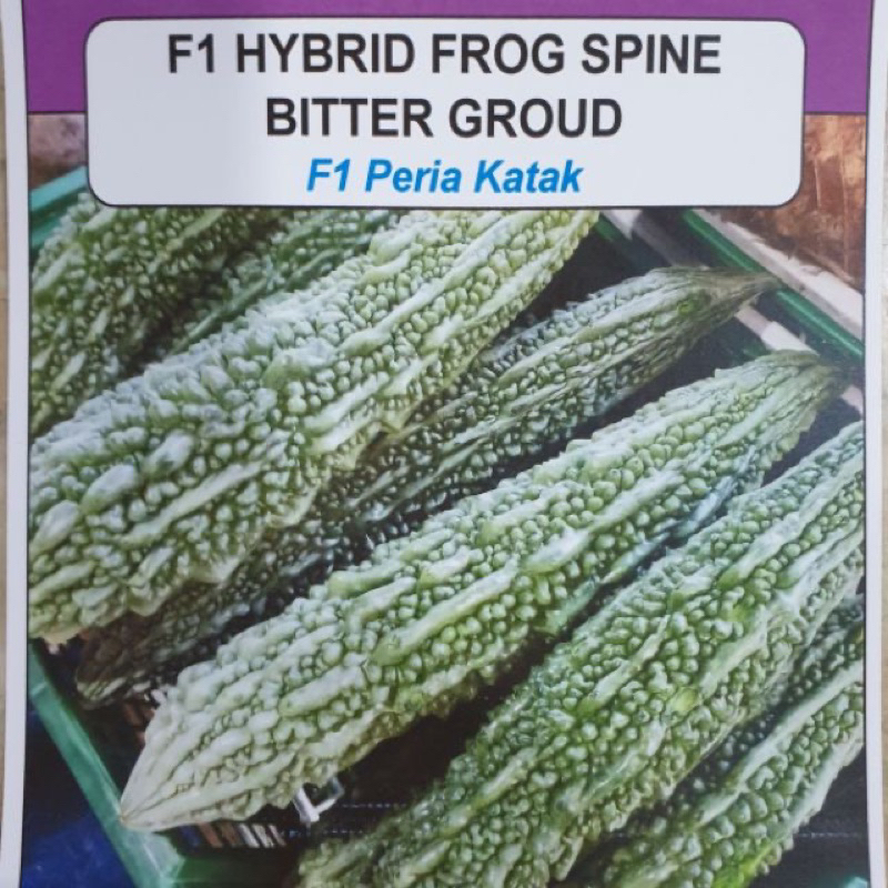 BENIH PERIA KATAK @ FROG SPINE BITTER GOURD ( 5 BIJI ) | Shopee Malaysia