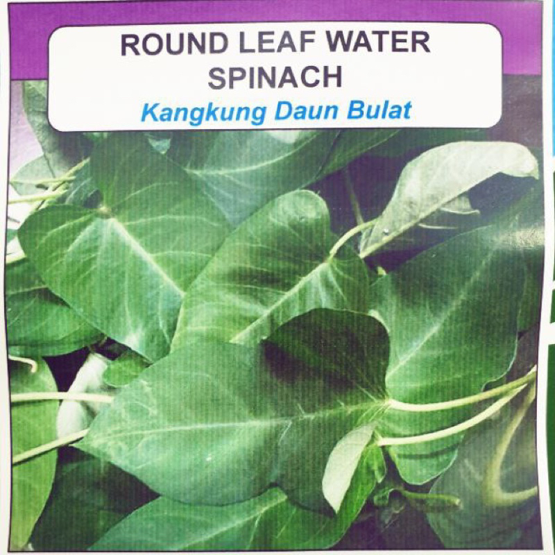 BENIH KANGKUNG DAUN LEBAR BULAT @ Kangkung Kampung (10 GRAM) | Shopee ...