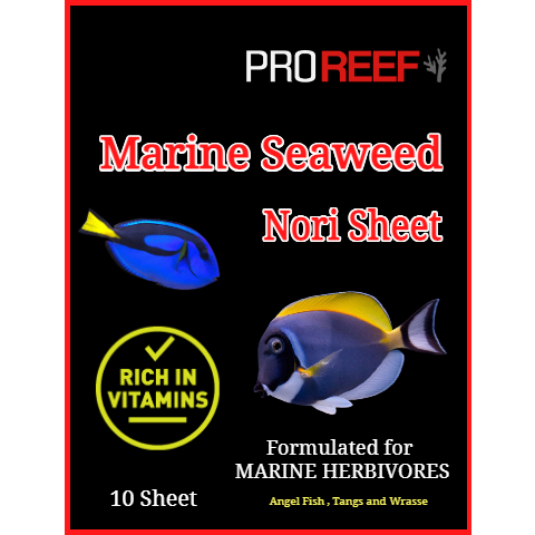 Pro reef premium seaweed ( nori) algae sheet for marine aquarium fishes ...