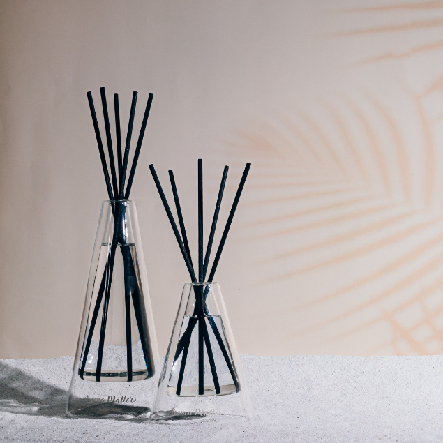 Aroma Matters Aromatherapy Diffuser Reed (21cm/27cm) | Shopee Malaysia