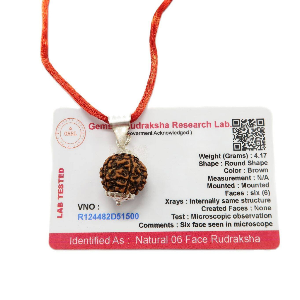 6 Mukhi (6 Face Rudraksha) Lab Certified Original Rudraksha Bead with ...