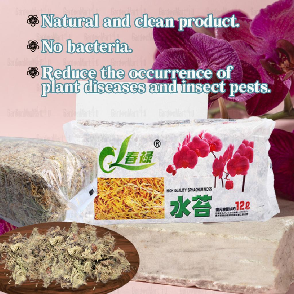 BLS 12 liter HIGH QUALITY SPHAGNUM MOSS ORCHID GARDEN PLANT GARDENING ...
