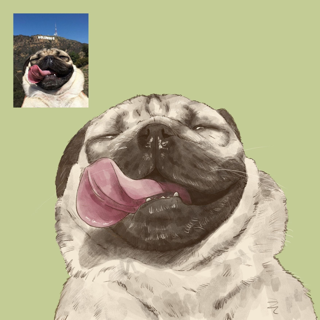 Custom made Pet Portrait l Digital Pet Drawing I Lukisan Haiwan I ...
