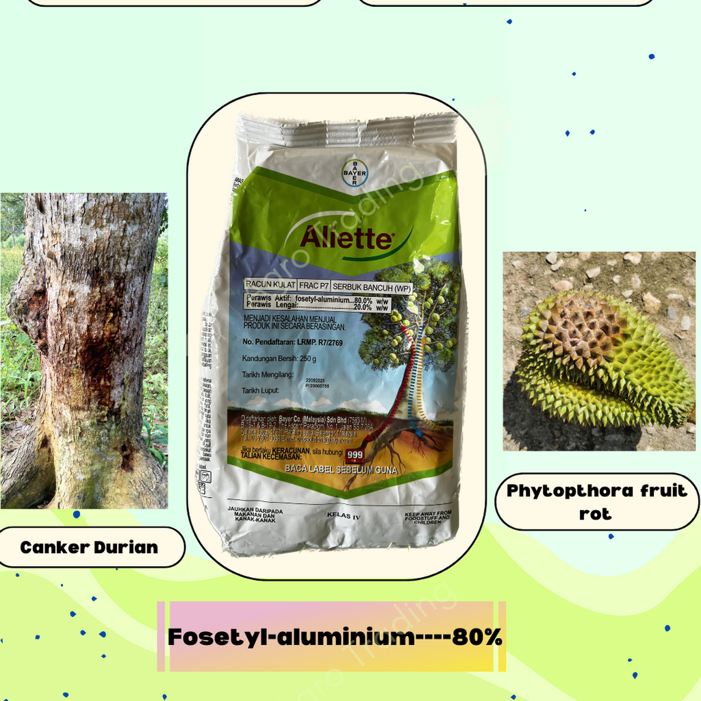 (250g) Bayer Aliette Fosetyl-aluminium 80% WP Kanker Batang, Reput Akar ...