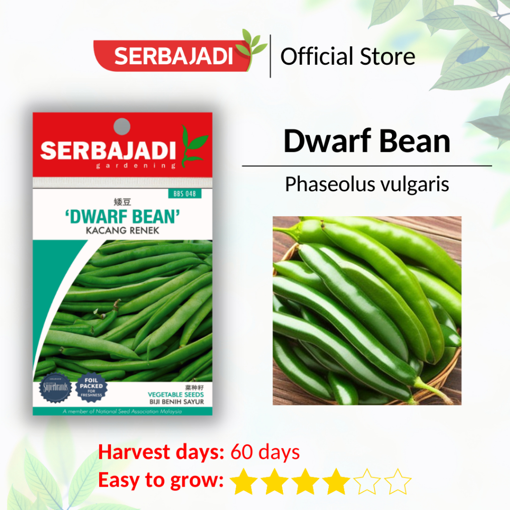 Serbajadi Vegetable Seed Dwarf Bean/ Biji Benih Sayur Kacang Renek ...