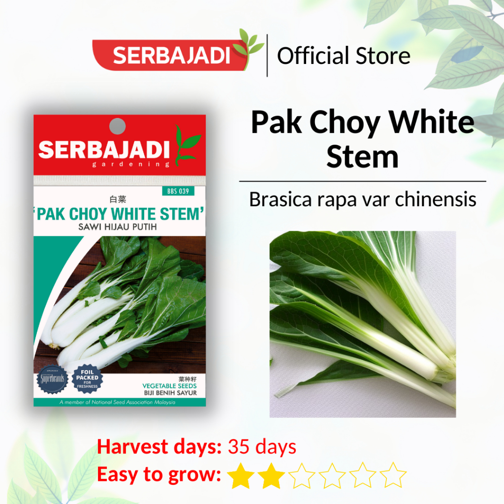 Serbajadi Vegetable Seed Pak Choy White Stem/ Biji Benih Sayur Sawi ...