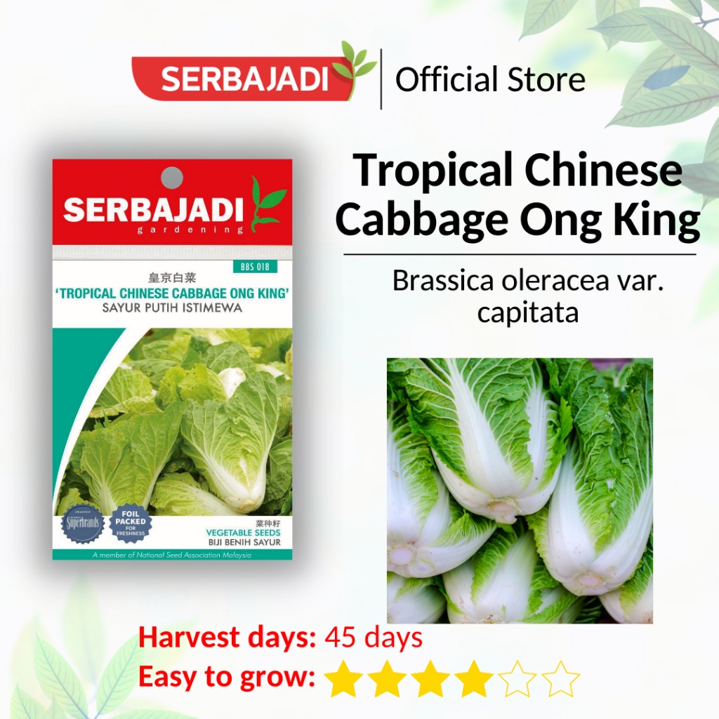 Serbajadi Vegetable Seed Tropical Chinese Cabbage Ong King/ Biji Benih ...