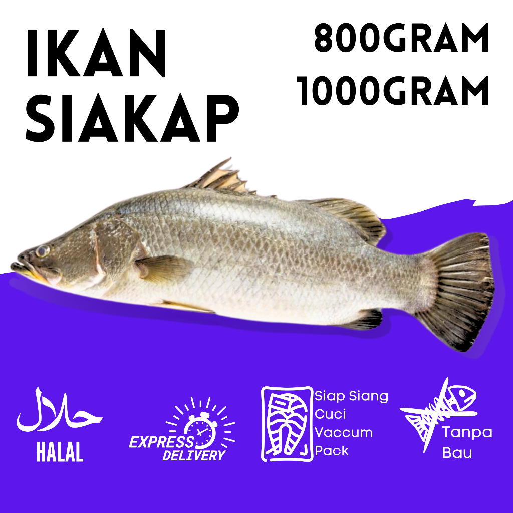 [800g~1kg] Ikan Siakap Ikan Barramundi Seabass Fish 石甲鱼 金目鲈 | ikan ...