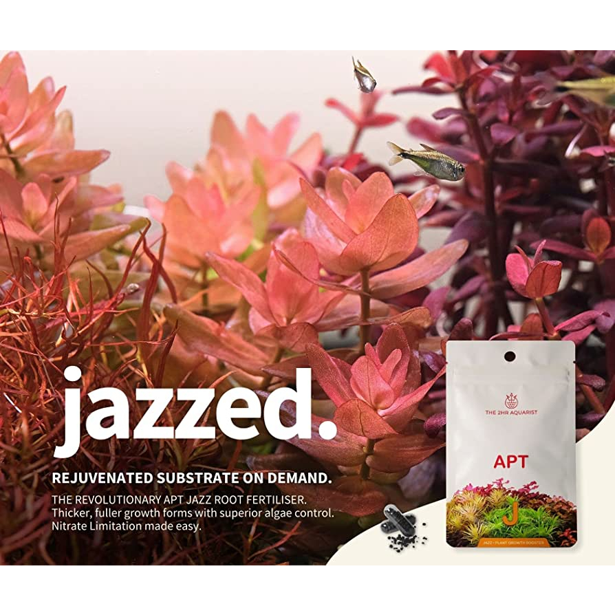 (ORIGINAL) APT JAZZ ROOT CAPSULES Fertiliser Plants For Aquascaping ...