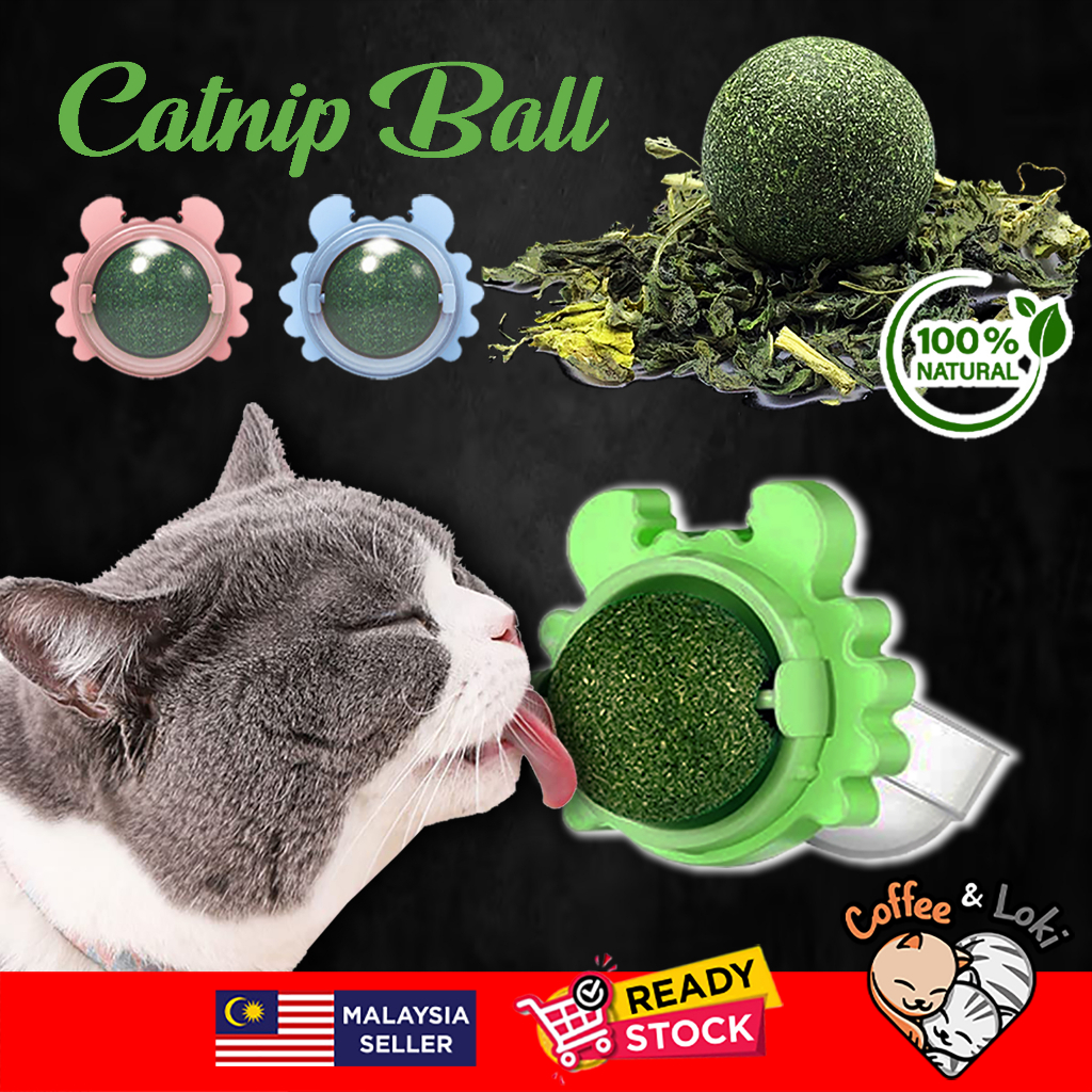 Rotatable Catnip Balls Cats Grass Mint Snacks Treats Rotating Pets Fun Toys Wall mounted Mainan ...