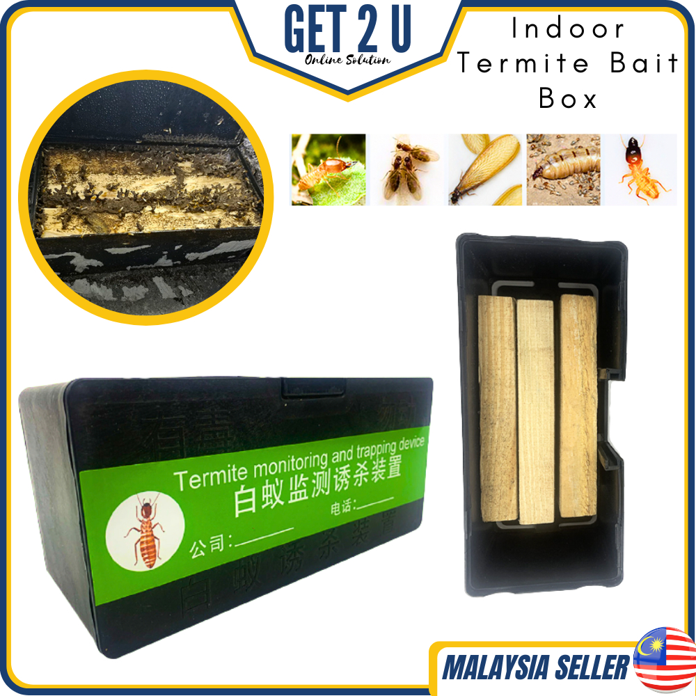 Kotak Umpan Anai anai dengan Kayu Indoor Termite Bait Box Termites ...