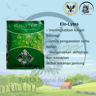 NAM Product Elo-Lytes ~ best concentrated electrolytes to avoid ...